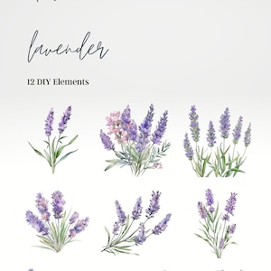 18 Watercolor Lavender Clipart | Floral Clipart | Lavender Clipart ...