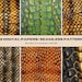 12 Snake Skin Digital Paper, Leather Pattern, Snake Skin Textures ...