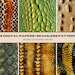 12 Snake Skin Digital Paper, Leather Pattern, Snake Skin Textures ...