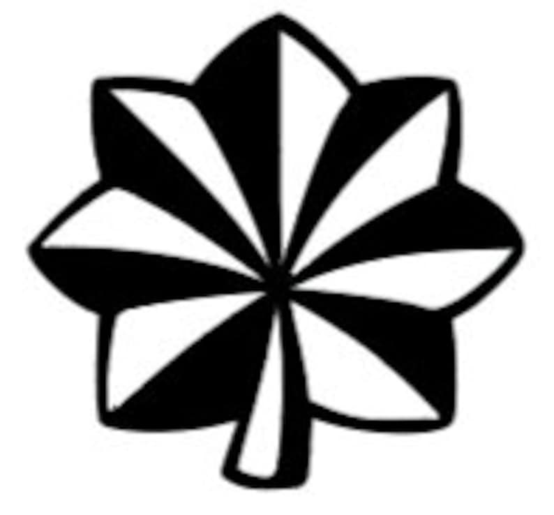 US Army Officer Rank Insignia Decal Sticker Vinyl - Etsy Australia