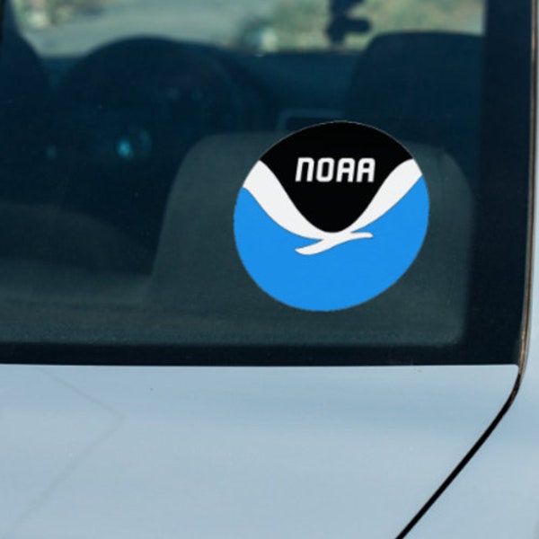 Tornado Window Decal - Etsy