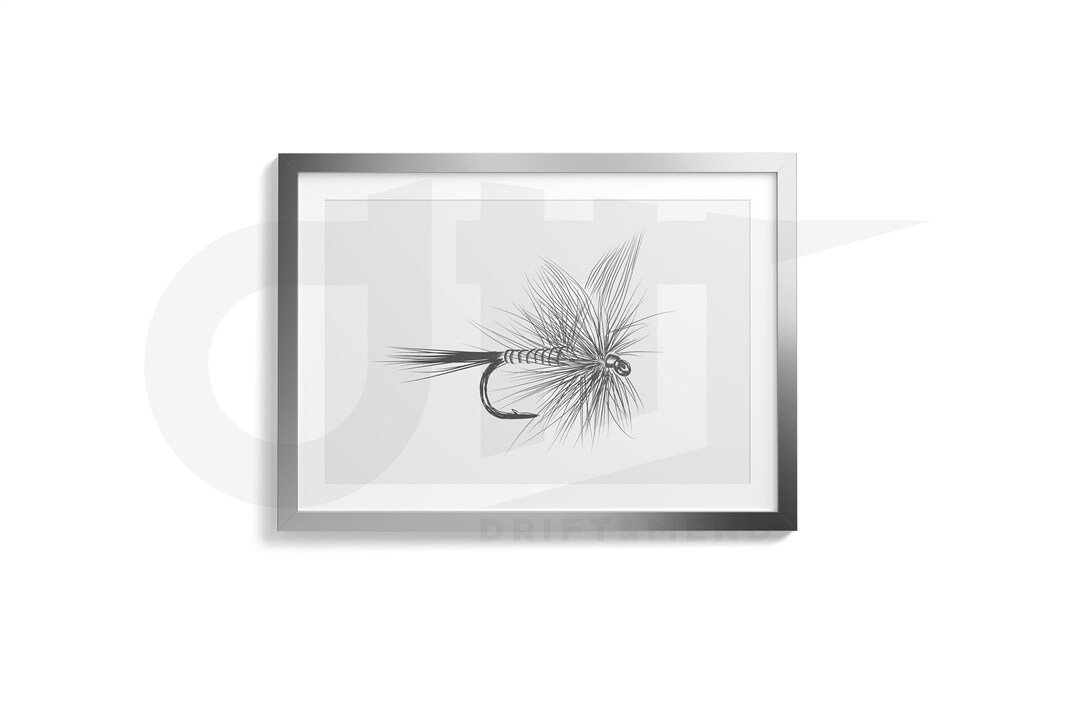 Blue Quill Fly - Fly Tying - Illustration - Fly Fishing Print - Fishing ...