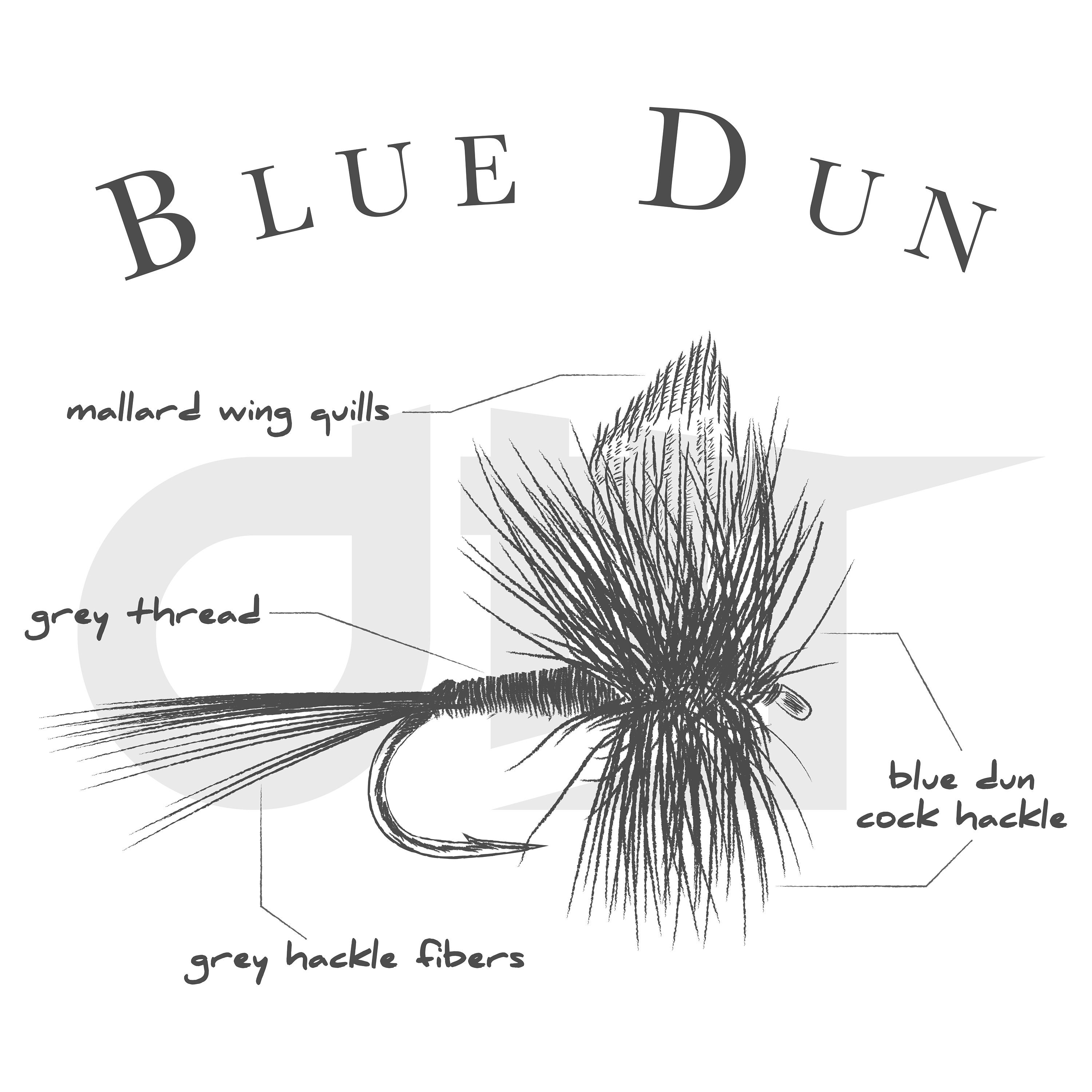 Blue Dun - Fly Tying - Illustration - Fly Fishing Print - Fishing - Digital Download - Fly ...