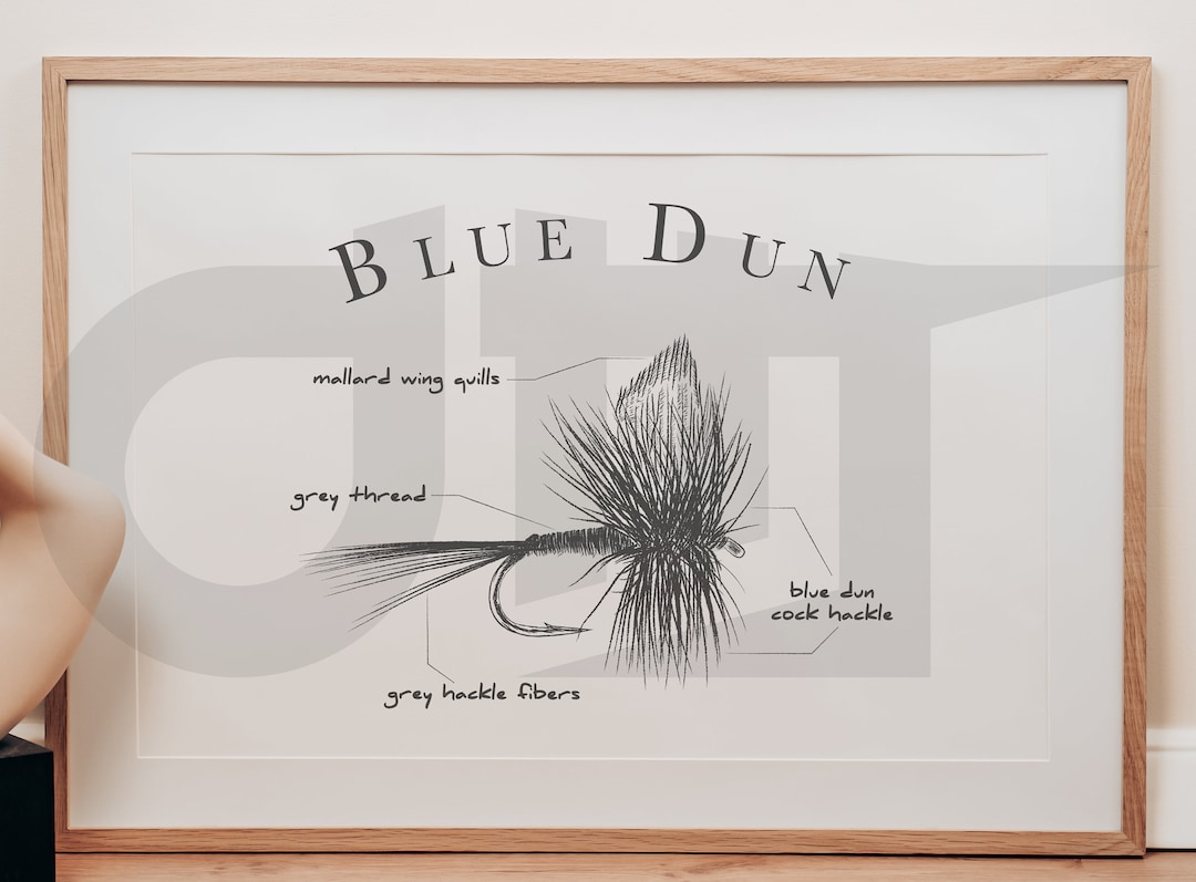 Blue Dun - Fly Tying - Illustration - Fly Fishing Print - Fishing ...