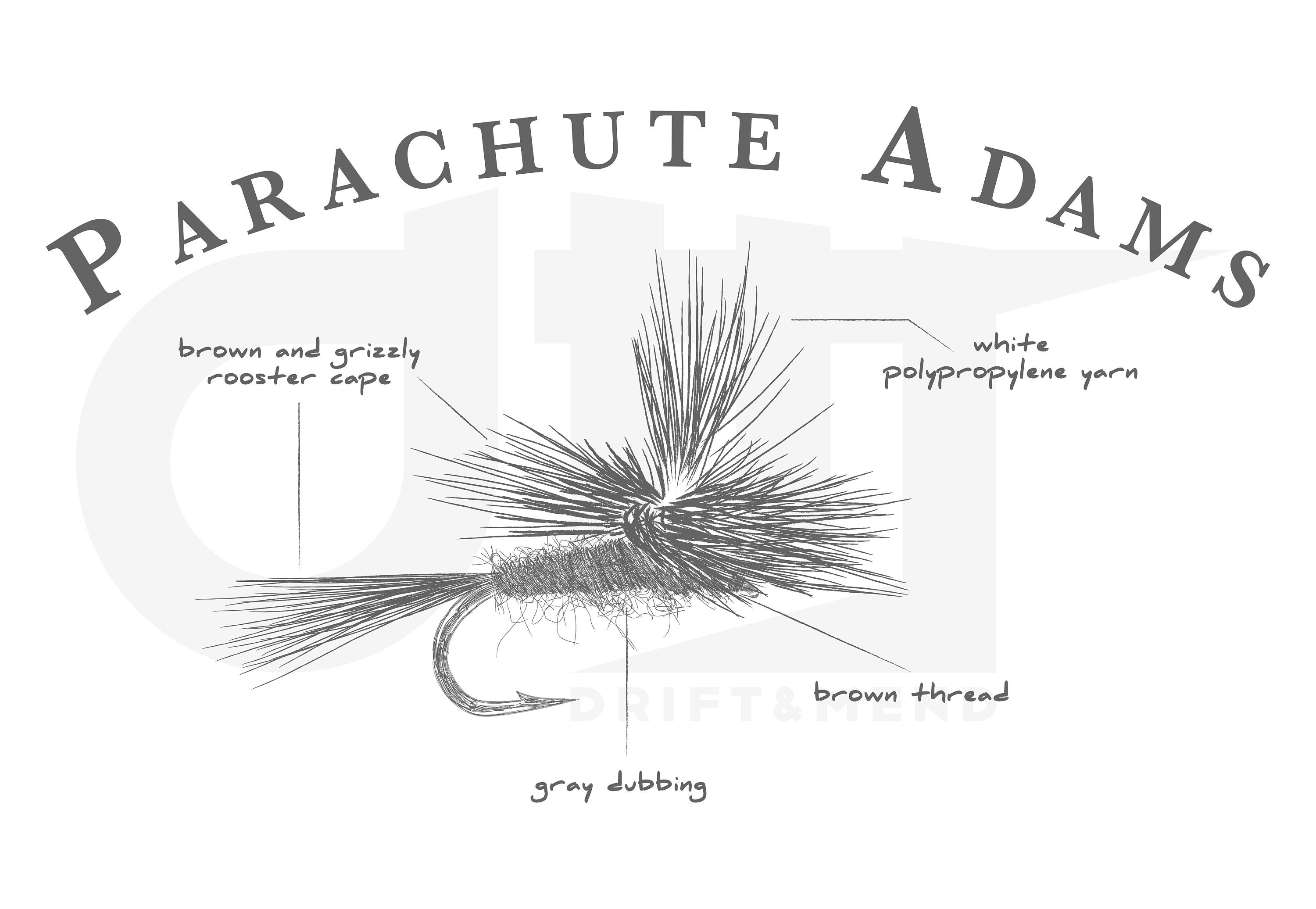 Parachute Adams - Fly Tying - Illustration - Fly Fishing Print ...