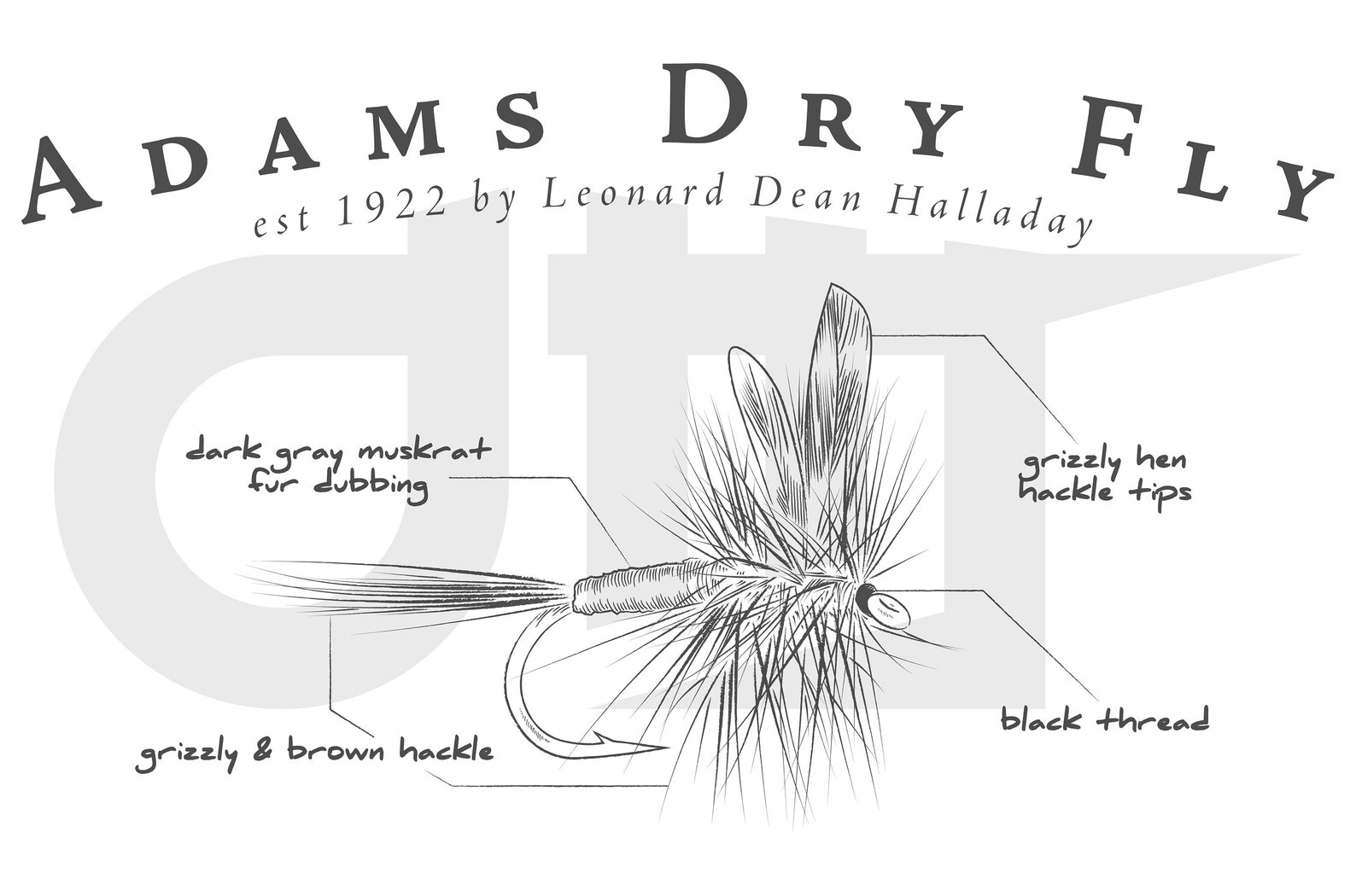 Adams Dry Fly - Fly Tying - Illustration - Fly Fishing Print - Fishing ...