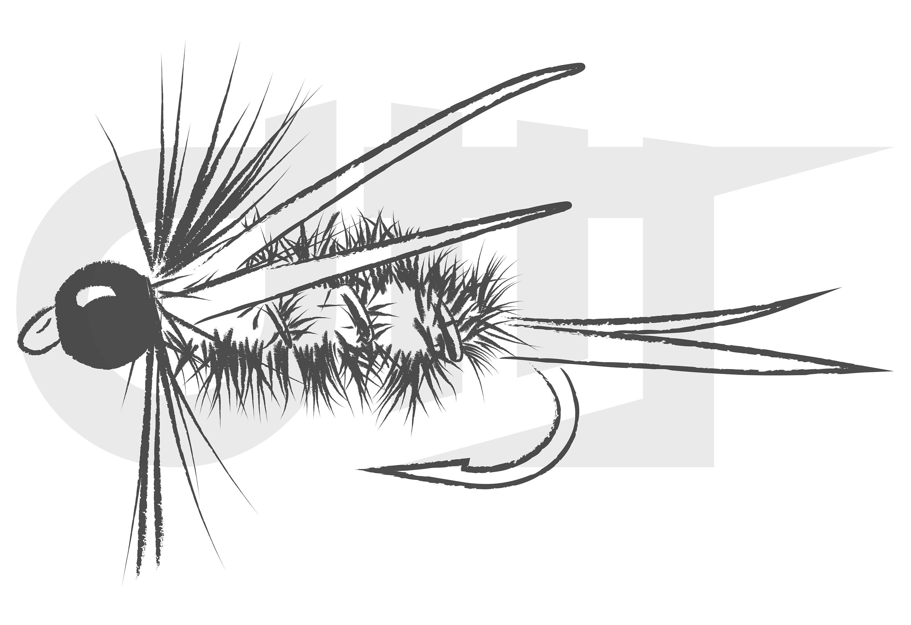 Prince Nymph - Fly Tying - Illustration - Fly Fishing Print - Fishing ...