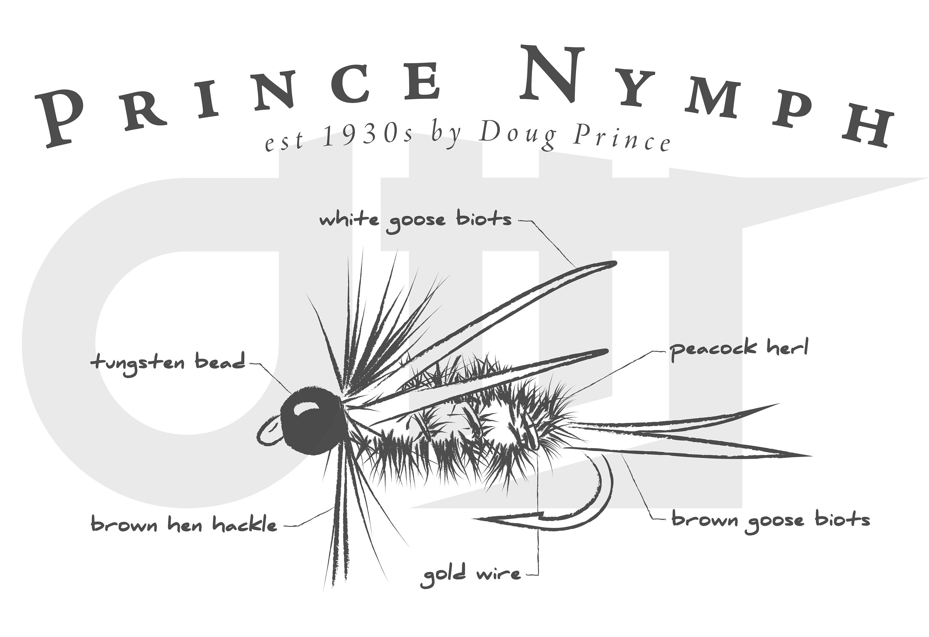Prince Nymph - Fly Tying - Illustration - Fly Fishing Print - Fishing ...