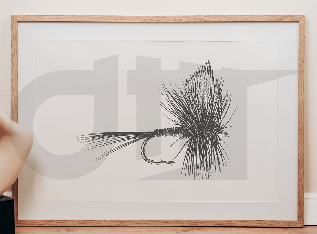 Blue Dun - Fly Tying - Illustration - Fly Fishing Print - Fishing ...