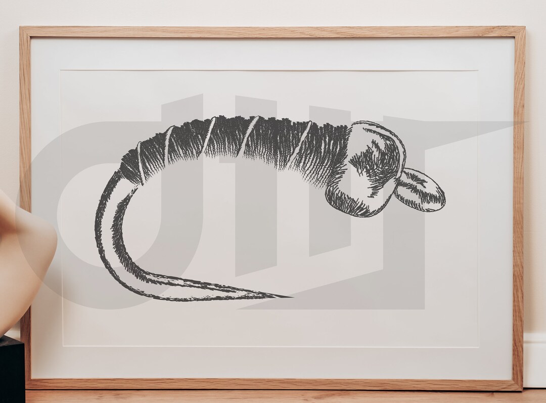 Zebra Midge - Fly Tying - Illustration - Fly Fishing Print - Fishing ...