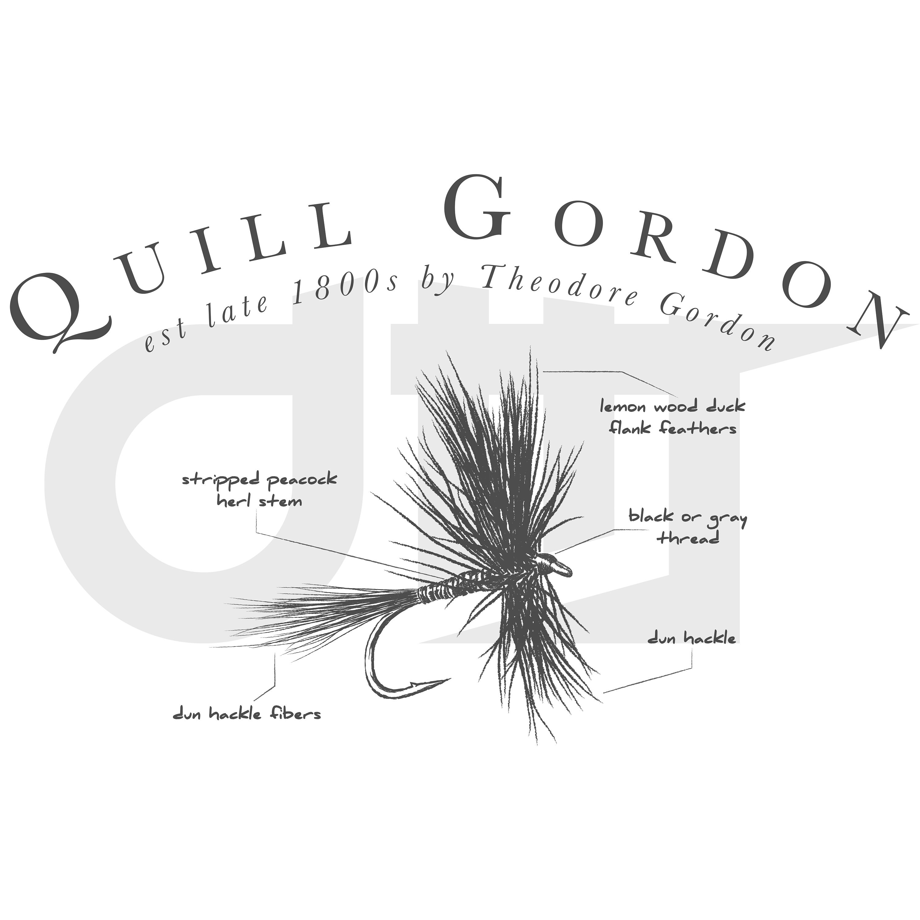 Quill Gordon - Fly Tying - Illustration - Fly Fishing Print - Fishing ...