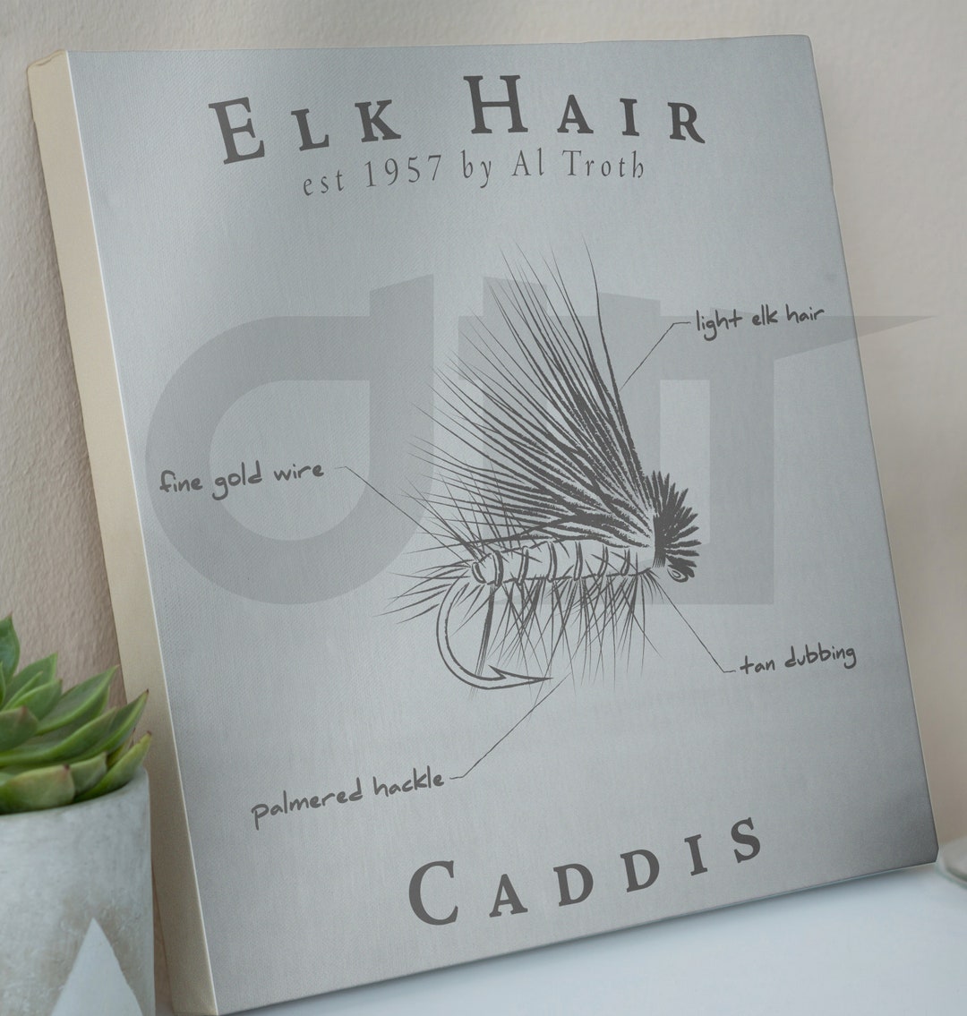 Elk Hair Caddis - Fly Tying - Illustration - Fly Fishing Print ...