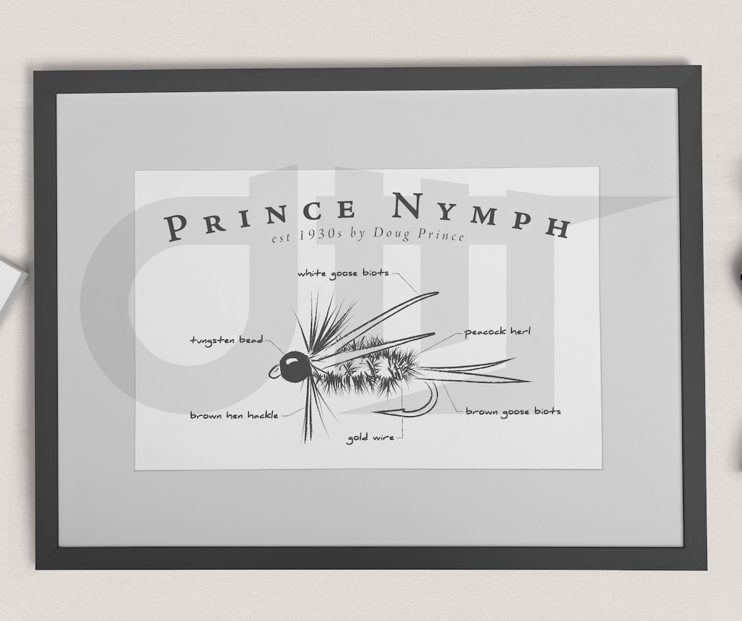 Prince Nymph - Fly Tying - Illustration - Fly Fishing Print - Fishing ...
