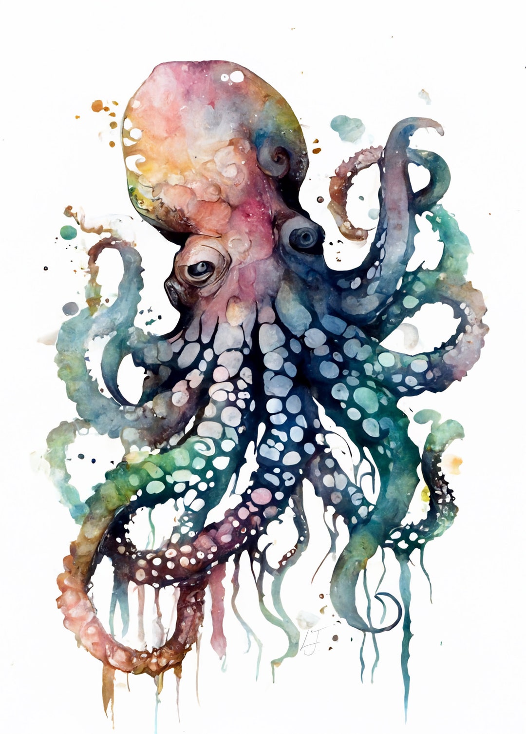 Tie Dye Octopus 3 - Etsy