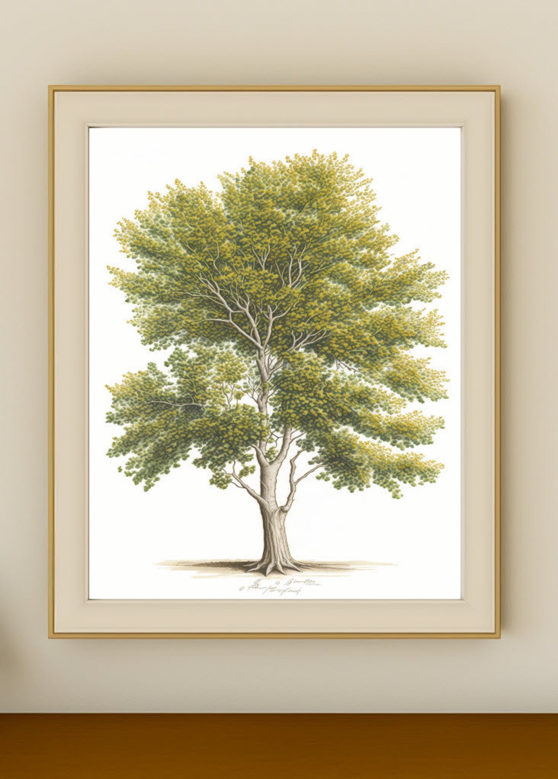 American Sycamore - Colored Pencil Print - Etsy