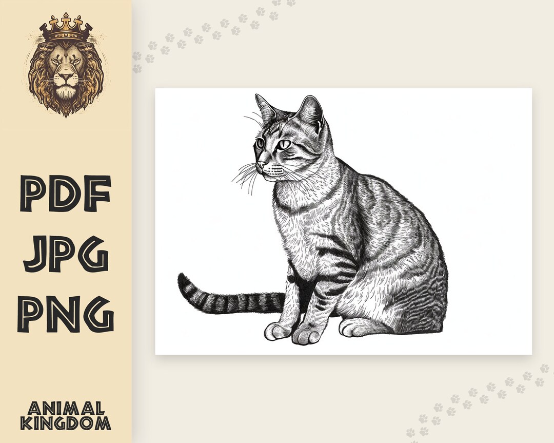Charming Domestic Cat Coloring Pages Instant Download Printable Sheets ...