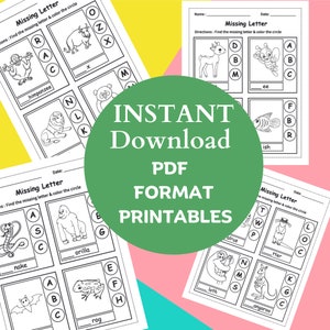 Match the Missing Letter Activity for Preschool Kindergarten Homeschool ...