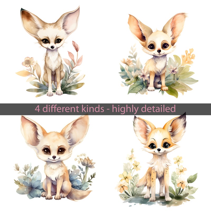 Fennec Fox Art - Etsy