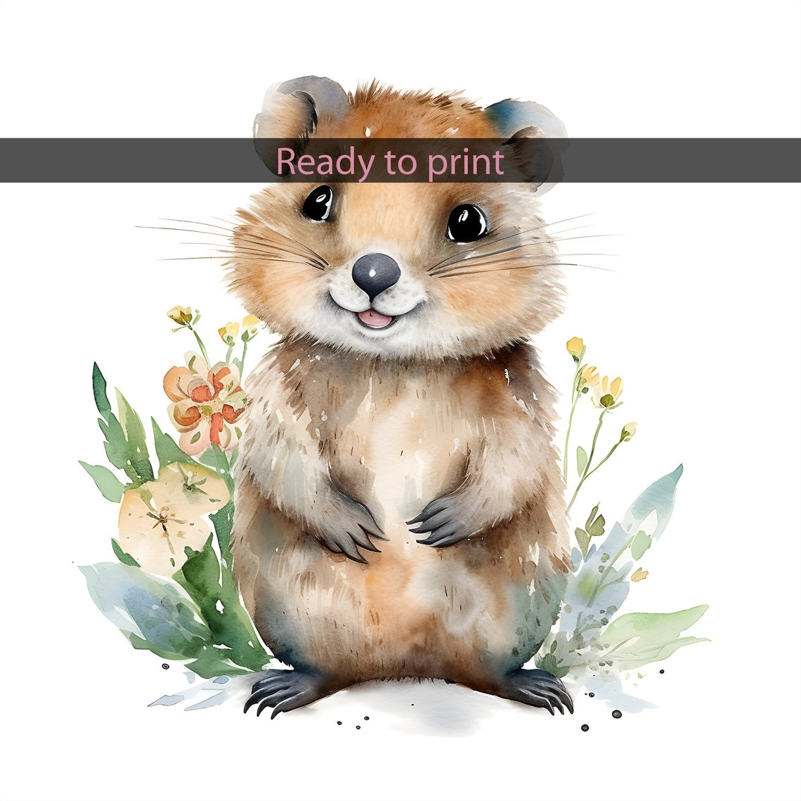 Quokka Illustration Bundle, Watercolor Animal Clipart, Digital ...