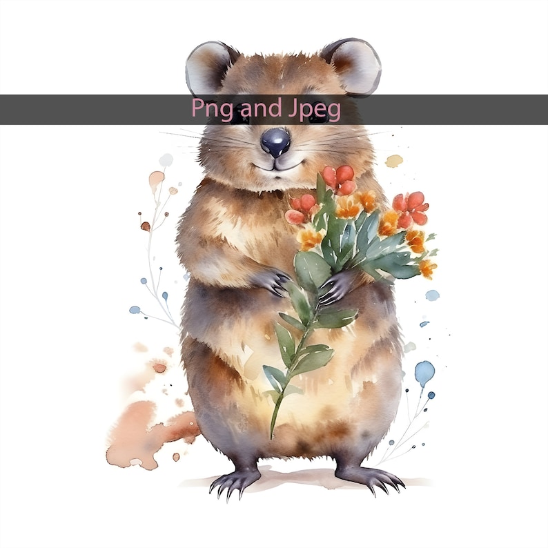 Quokka Illustration Bundle, Watercolor Animal Clipart, Digital Downloads, Quokka, PNG ...