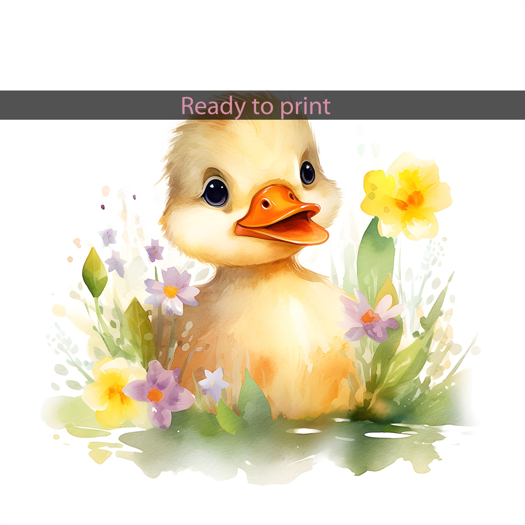 Baby Duck Bundle, Watercolor Animal Clipart, Digital Downloads, Baby ...