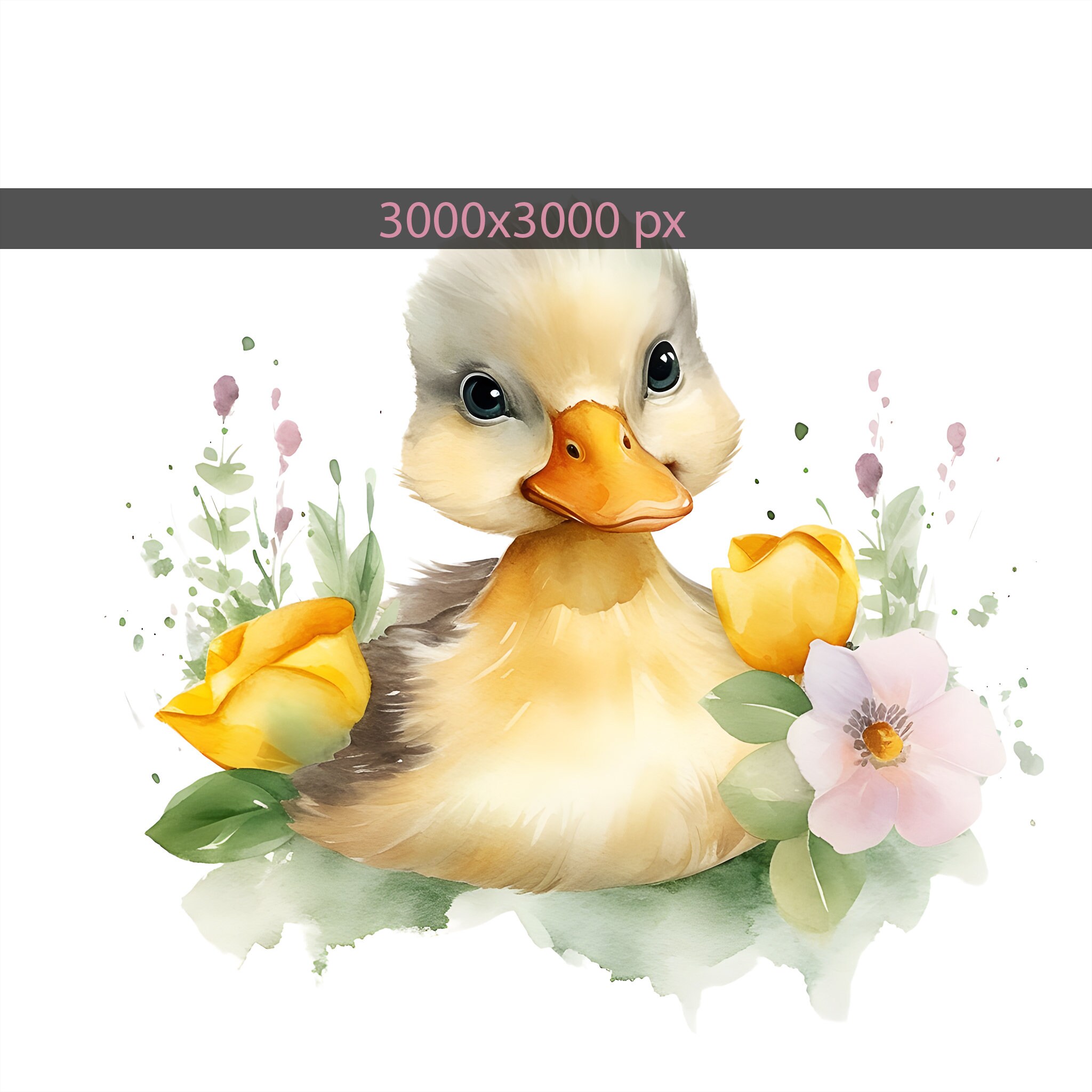 Baby Duck Bundle, Watercolor Animal Clipart, Digital Downloads, Baby ...