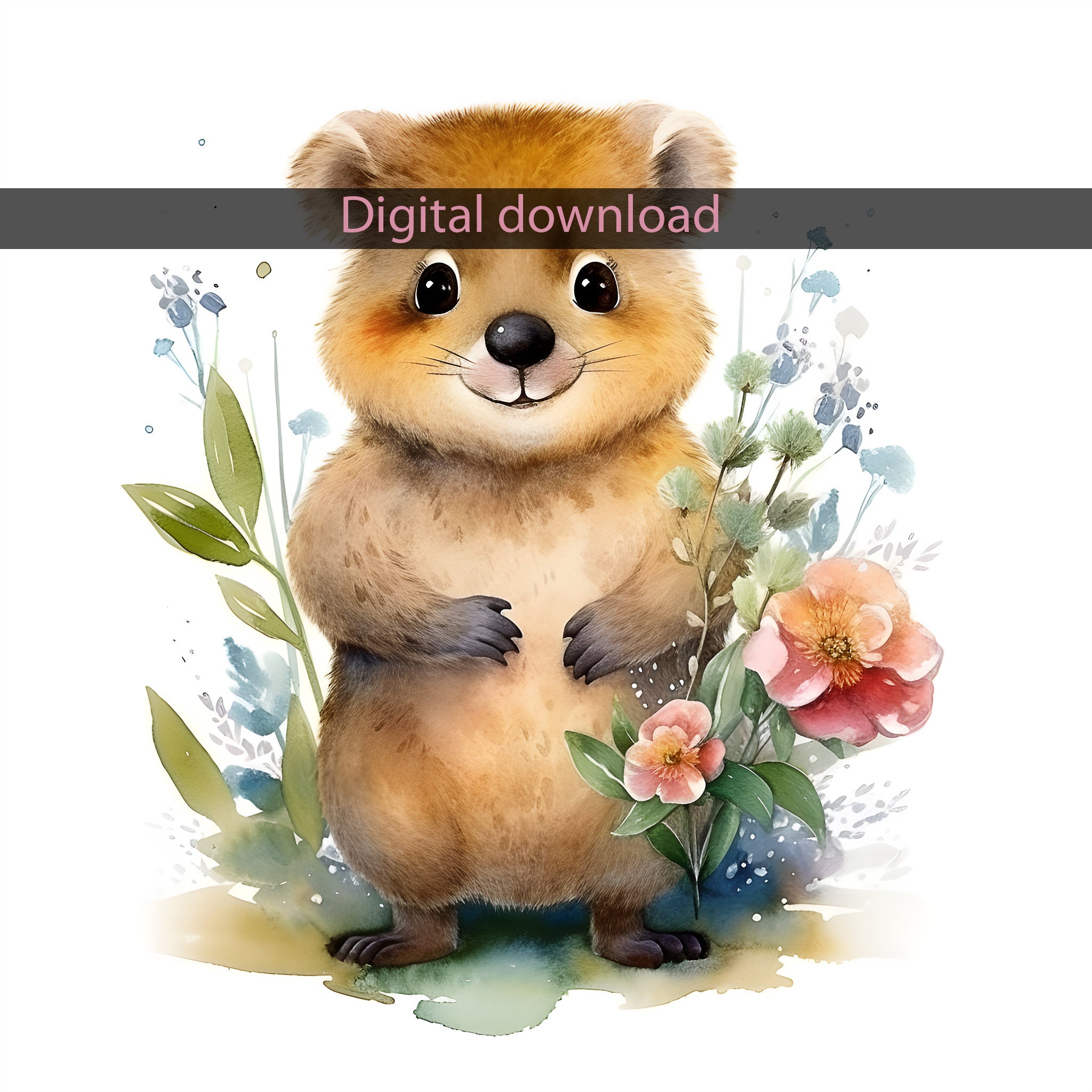 Quokka Illustration Bundle, Watercolor Animal Clipart, Digital ...