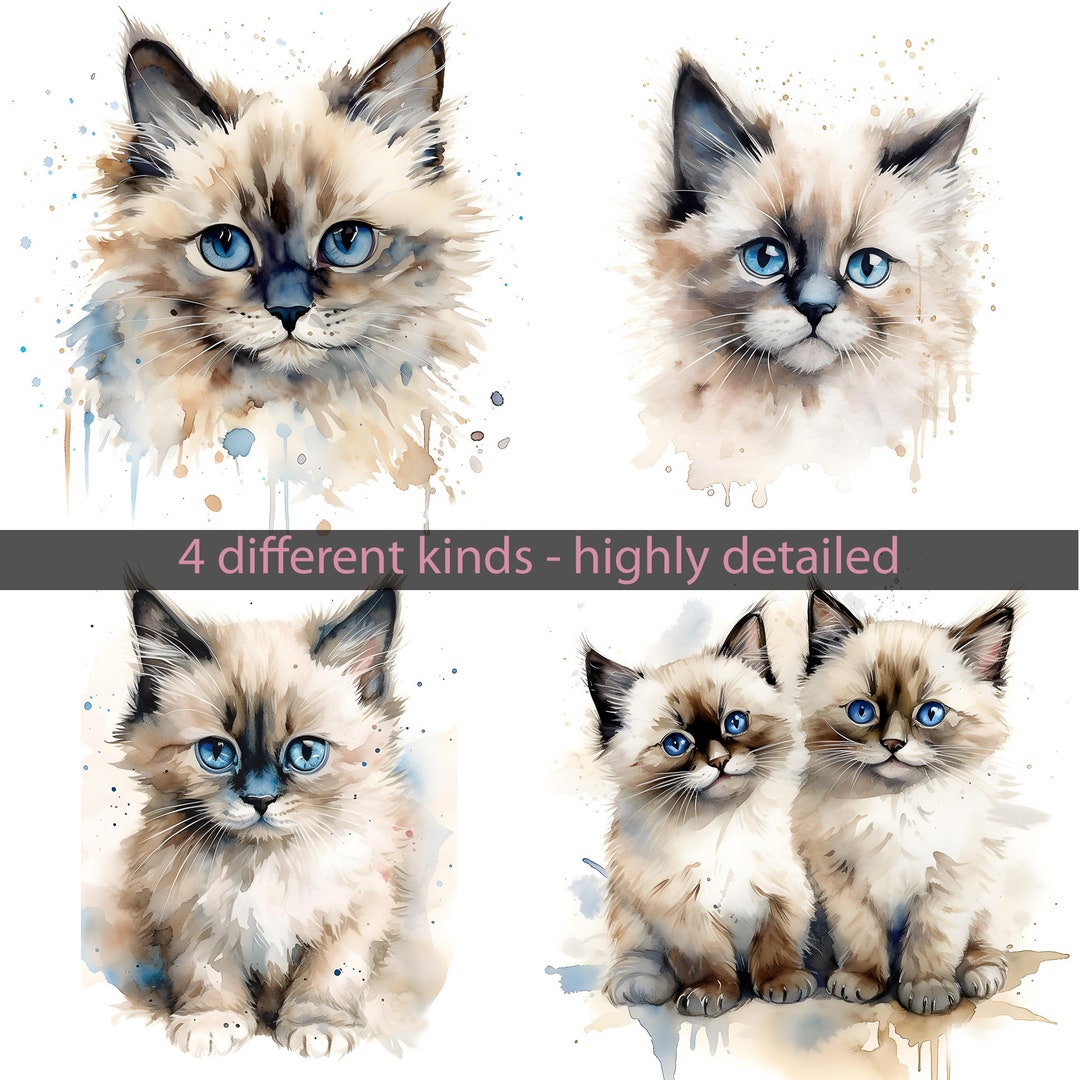 Birman Kitten Illustration Bundle, Digital Pictures, Digital Downloads ...