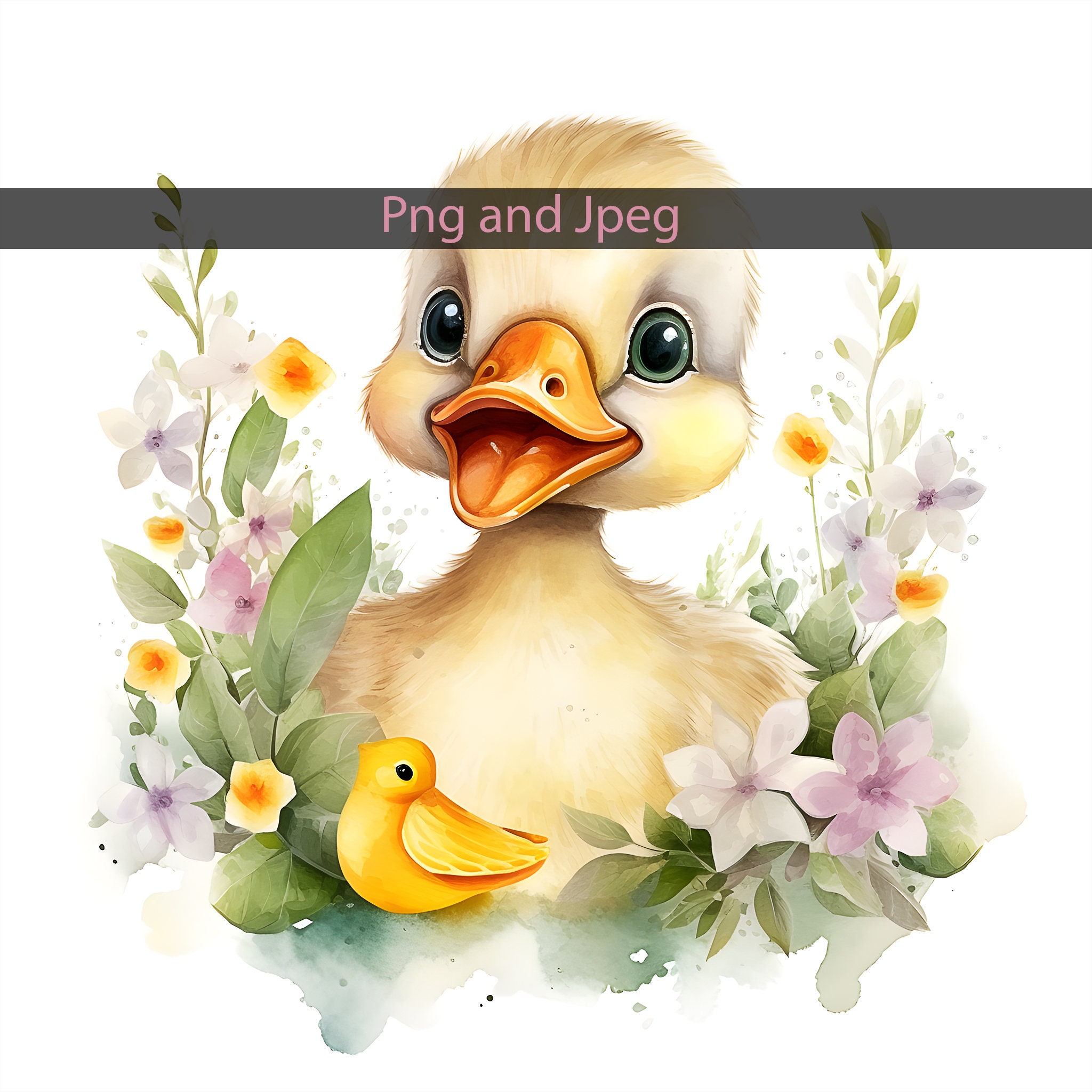 Baby Duck Bundle, Watercolor Animal Clipart, Digital Downloads, Baby ...