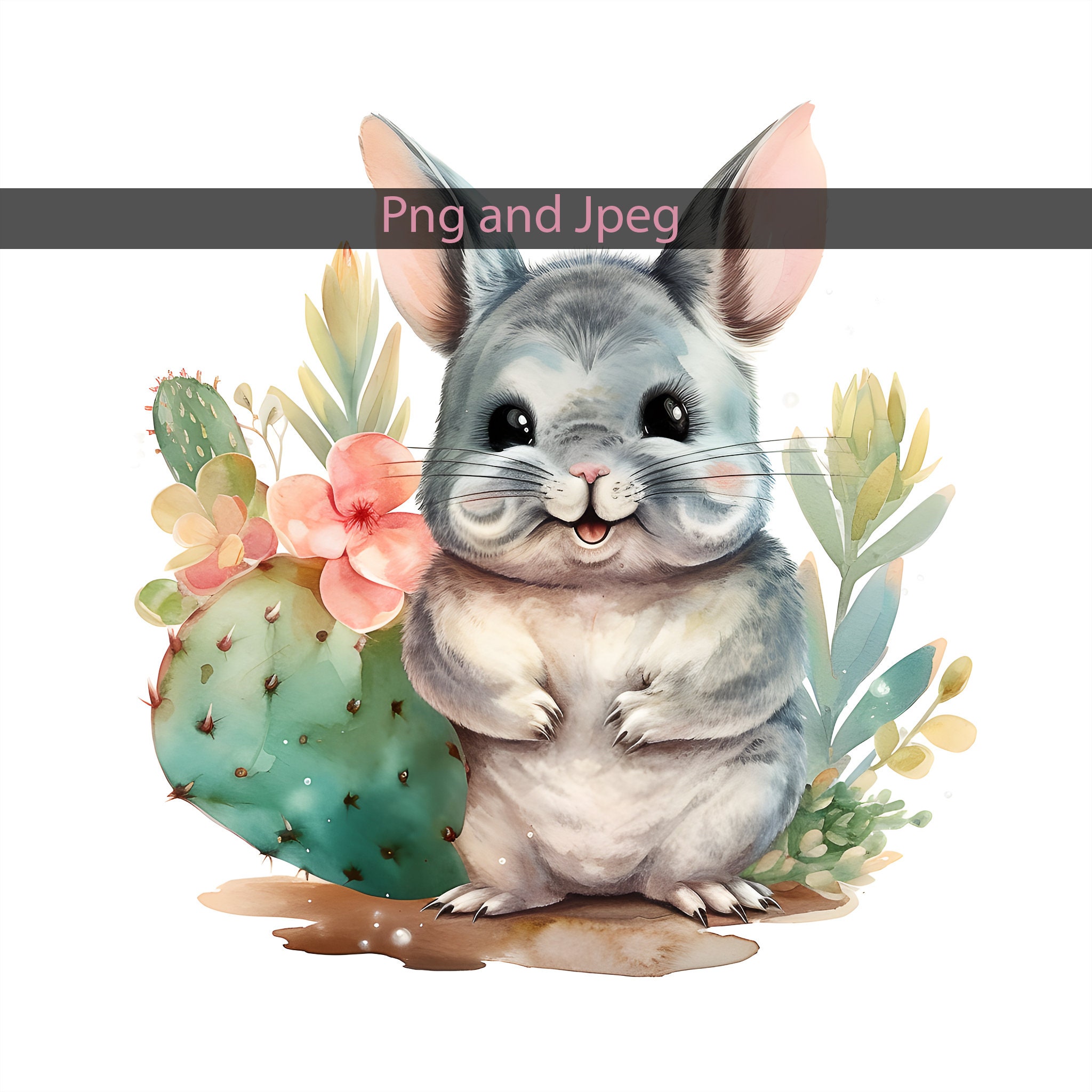 Chinchilla Illustration Bundle, Watercolor Animal Clipart, Digital ...