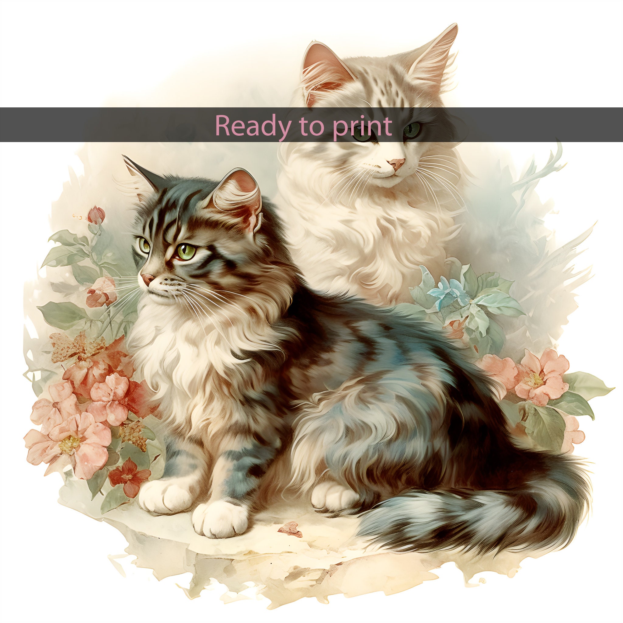 Vintage Cat Clipart Bundle, Watercolor Animal Clipart, Digital ...