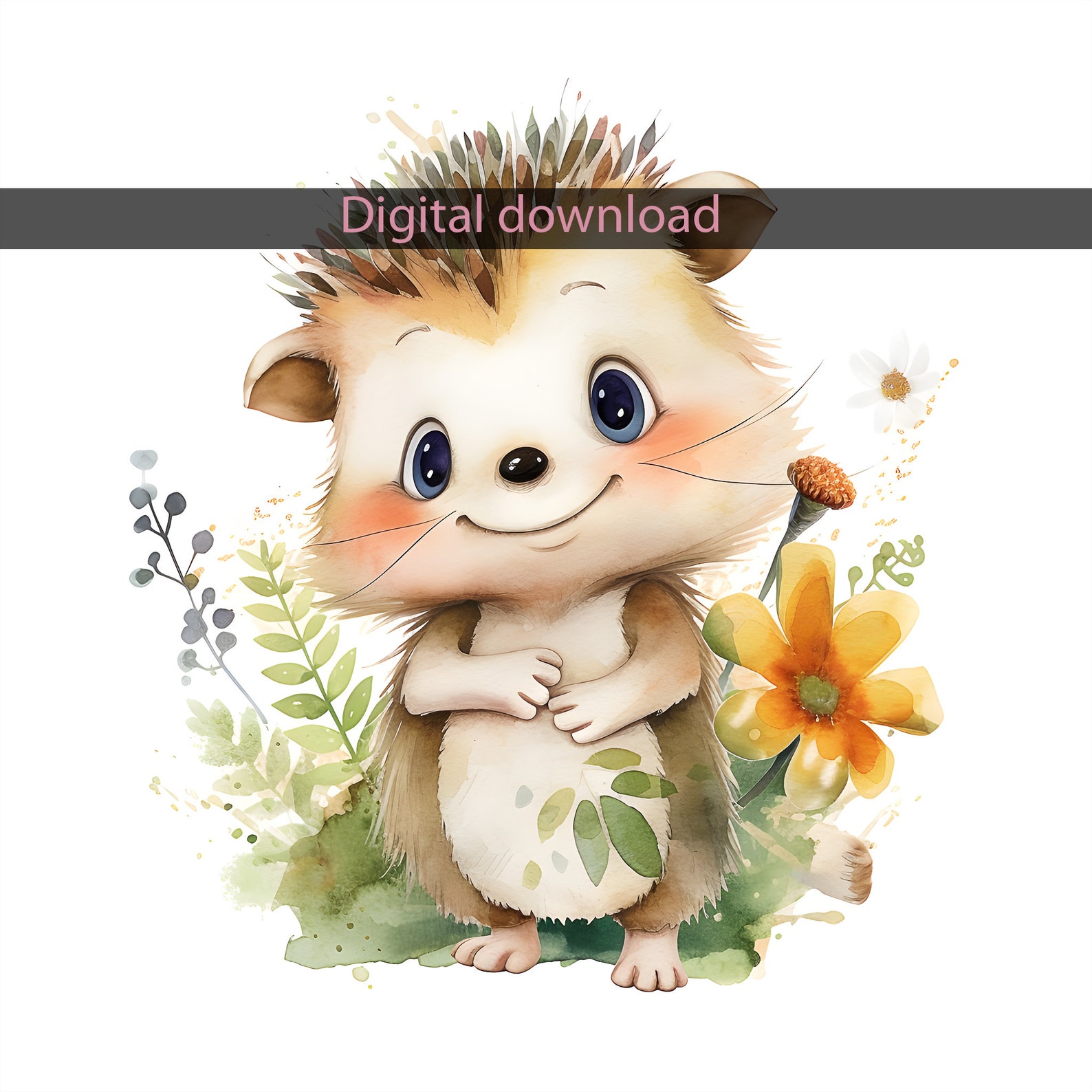 Hedgehog Illustration Bundle, Watercolor Animal Clipart, Digital ...