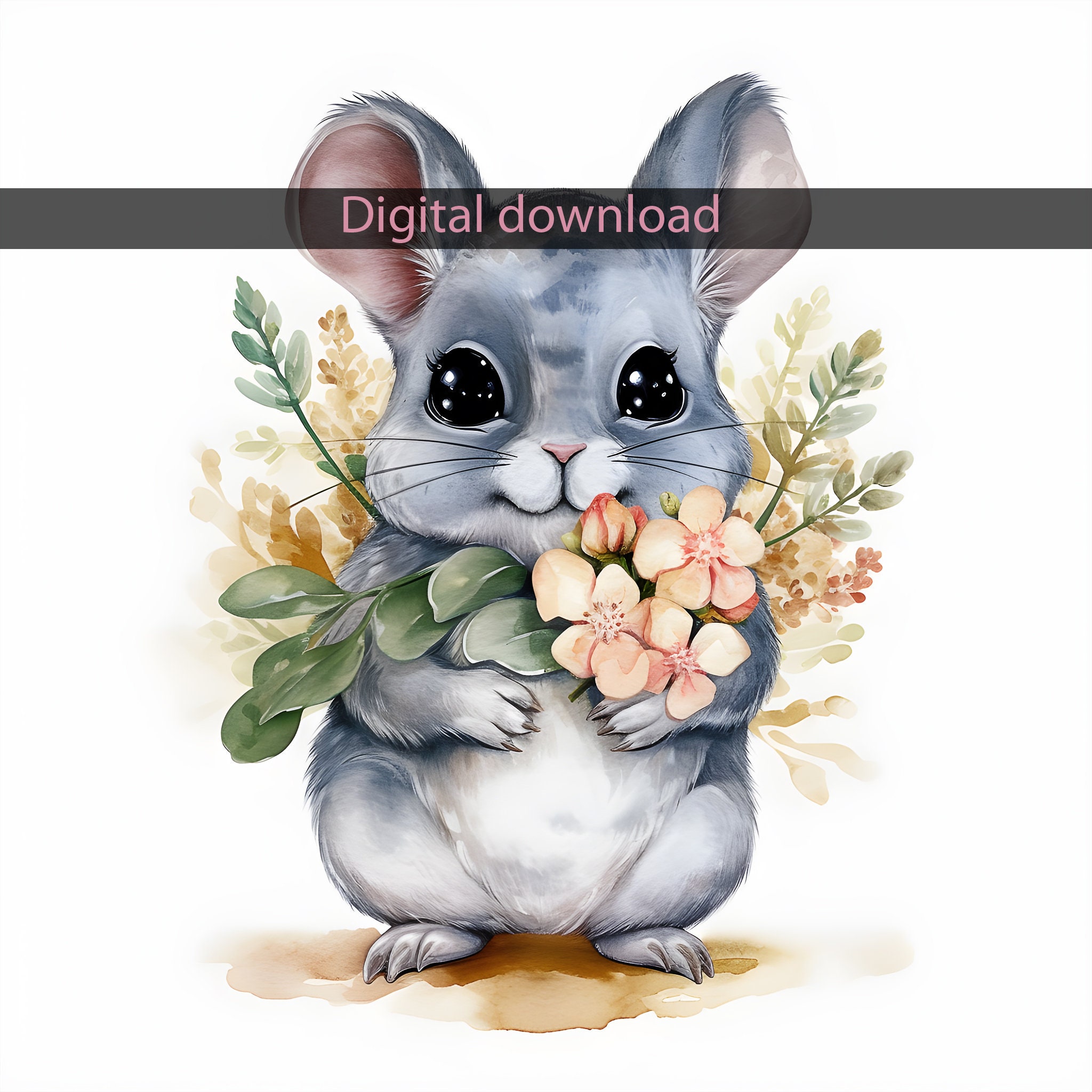 Chinchilla Illustration Bundle, Watercolor Animal Clipart, Digital ...