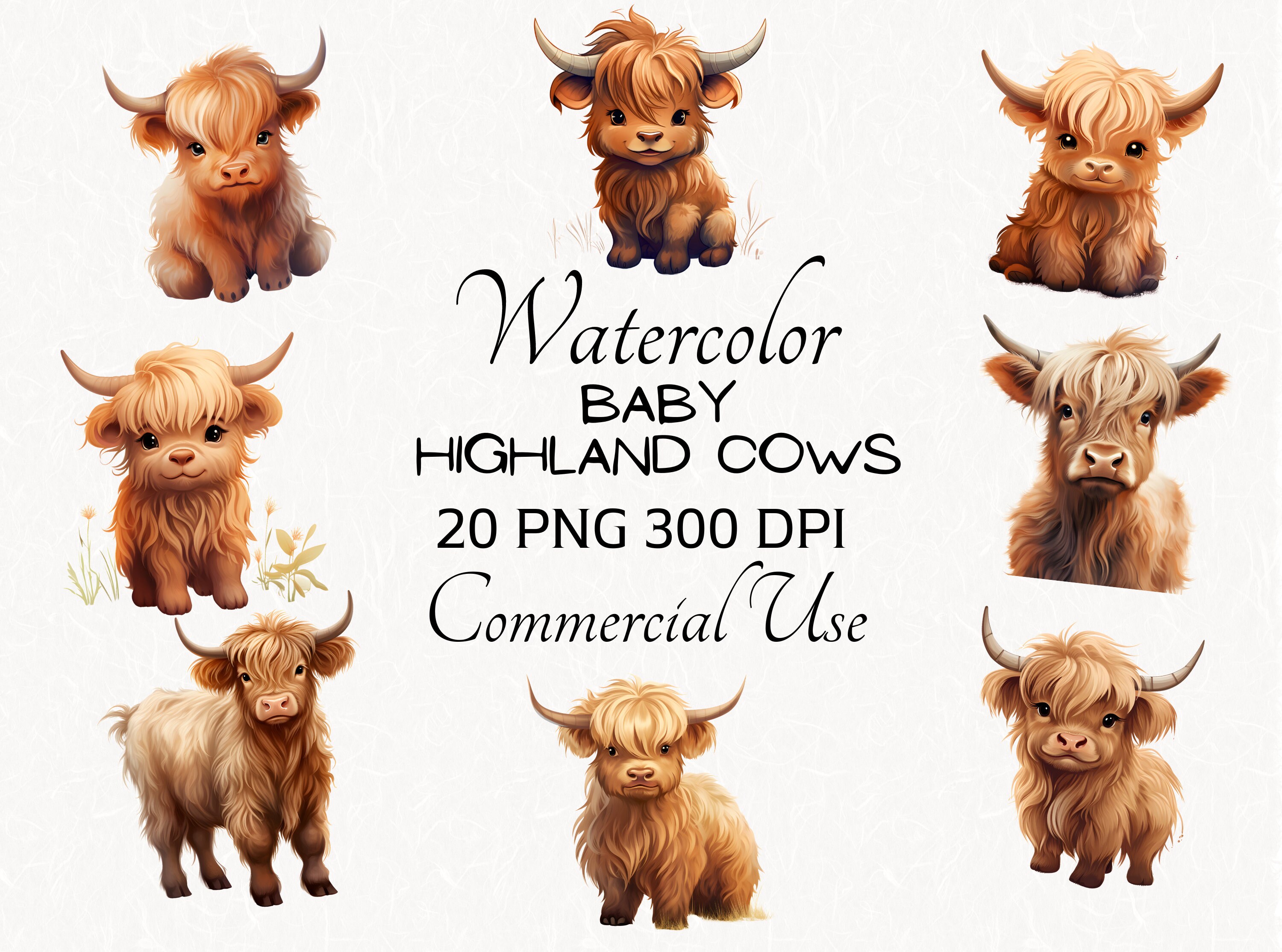 20 Cute Highland Cows Illustrations Bundle, Watercolor Clipart, Digital ...