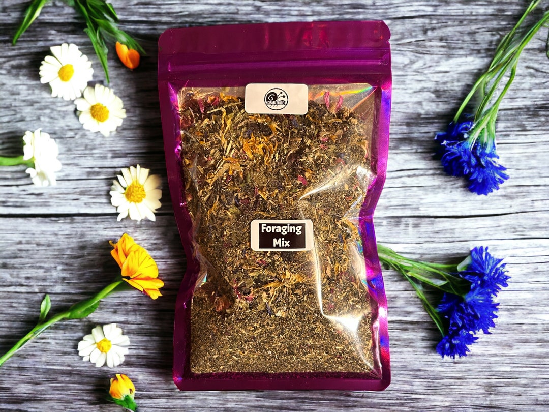 Foraging Mix for Hermit Crabs - Etsy