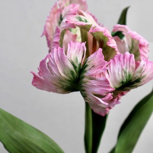 Artificial Real Touch Green Wave Parrot Tulip - Etsy