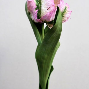 Artificial Real Touch Green Wave Parrot Tulip - Etsy