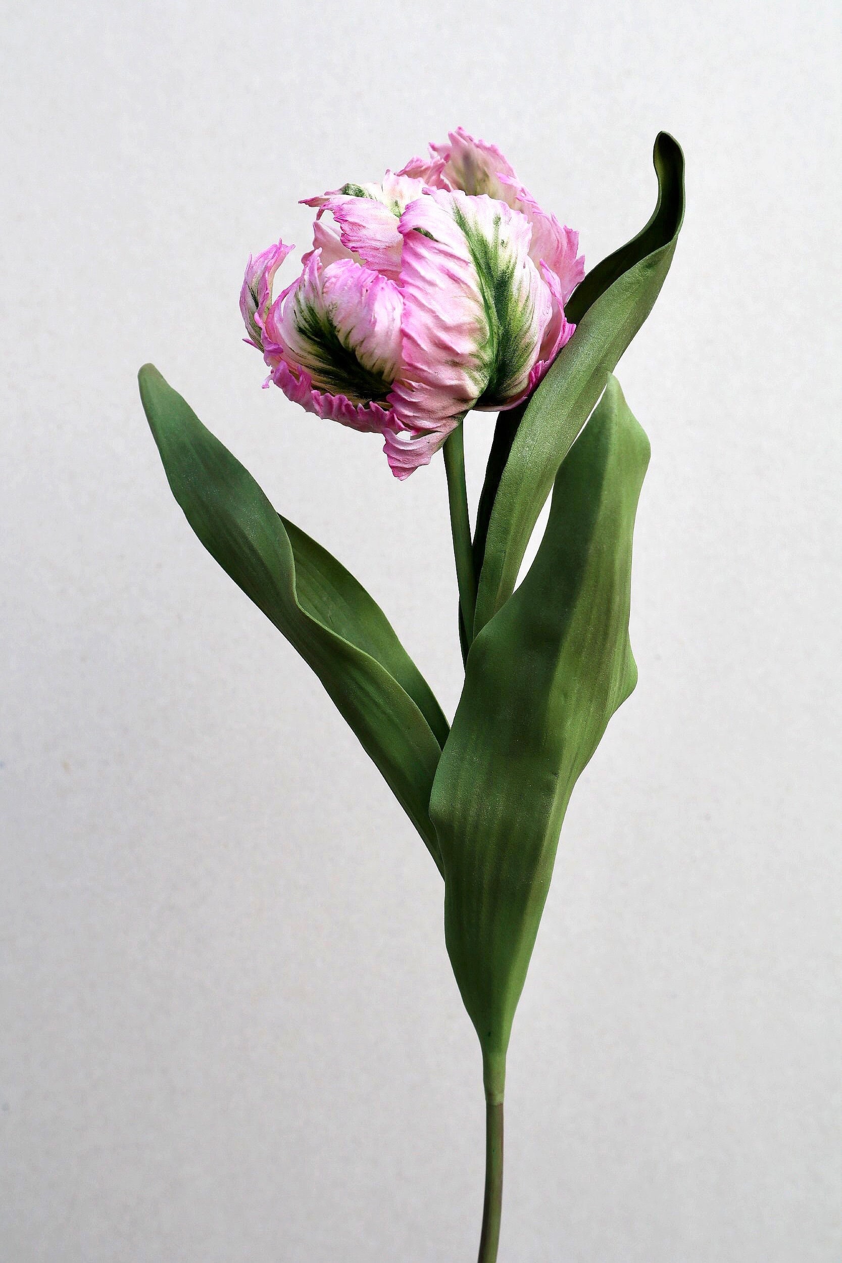Artificial Real Touch Green Wave Parrot Tulip - Etsy