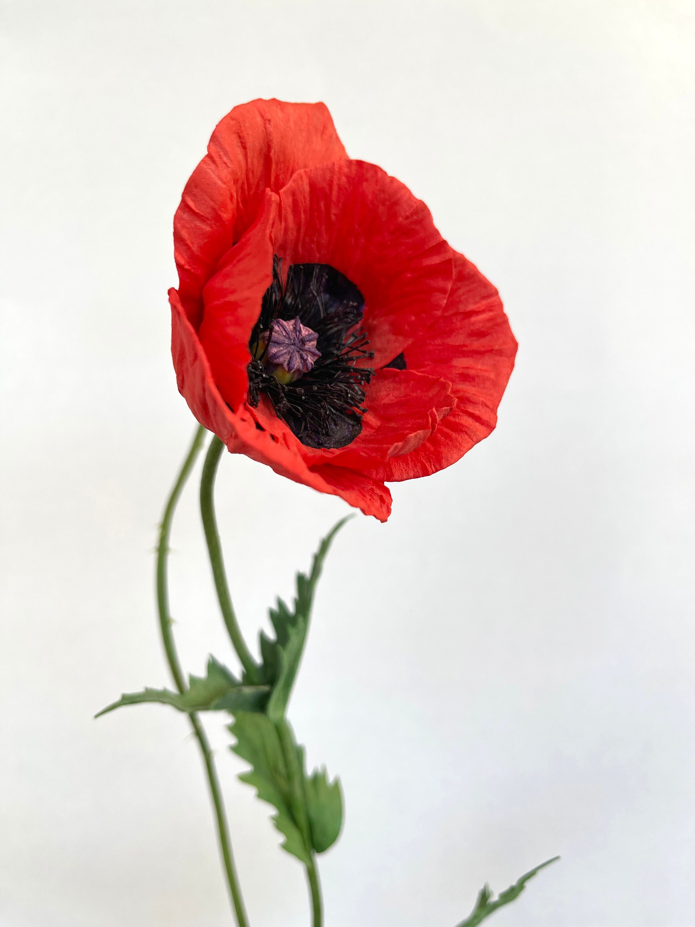 Artificial Real Touch Red Poppies 3 Different Types Available - Etsy ...