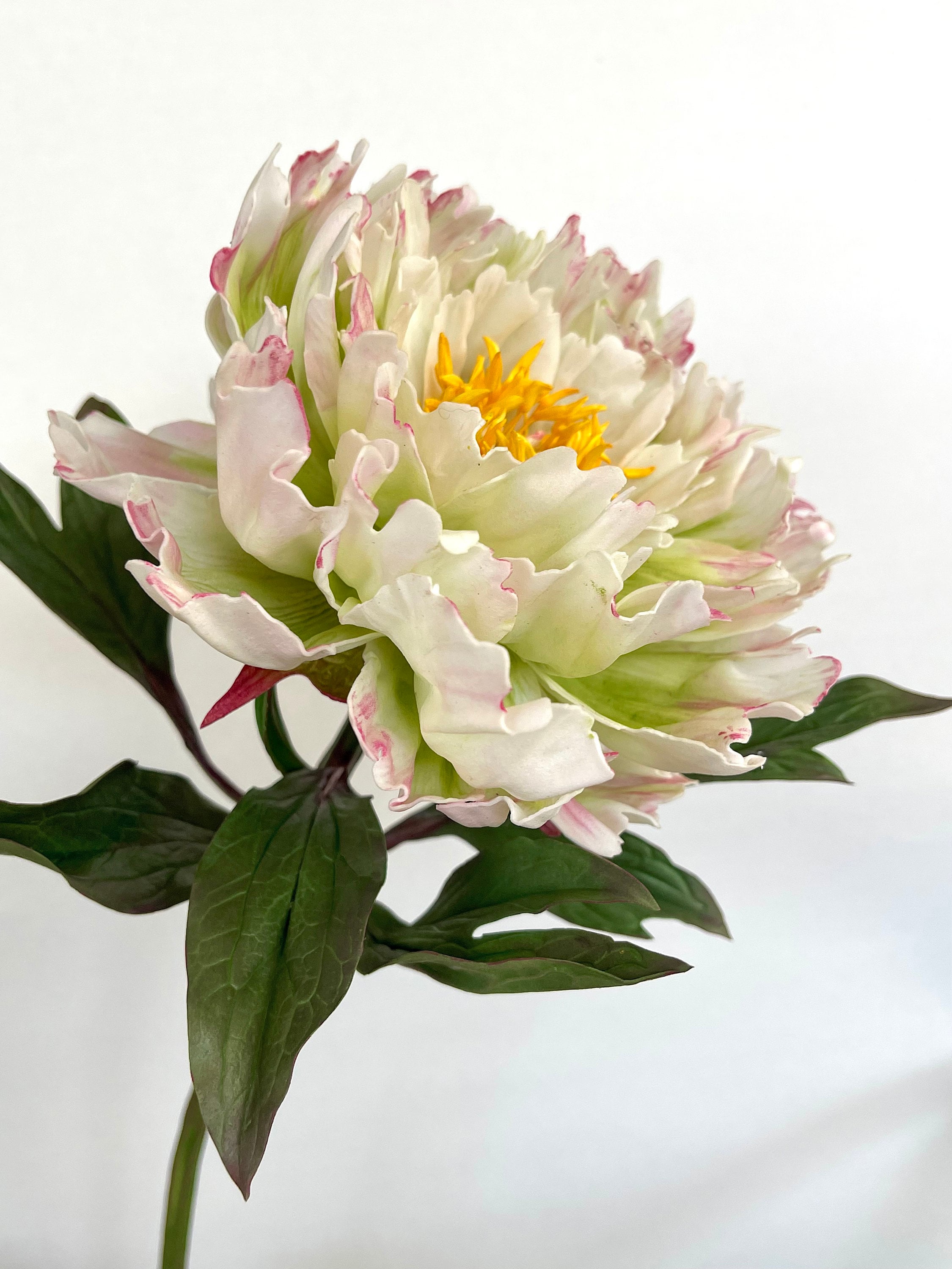 Artificial Real Touch Green Lotus Peony - Etsy