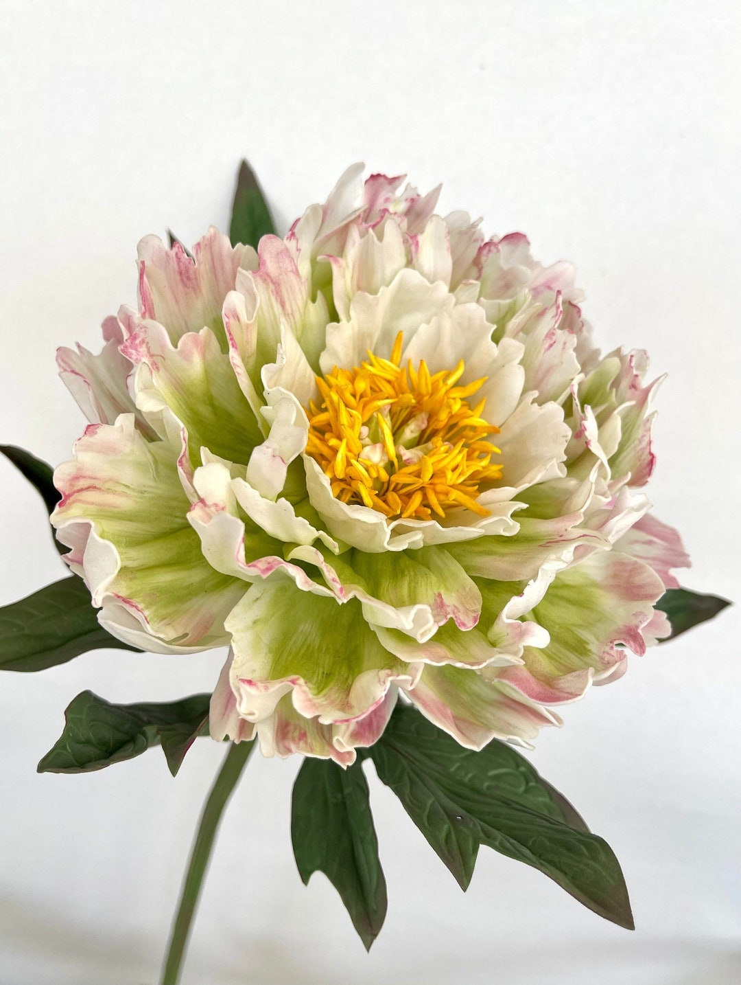 Artificial Real Touch Green Lotus Peony - Etsy
