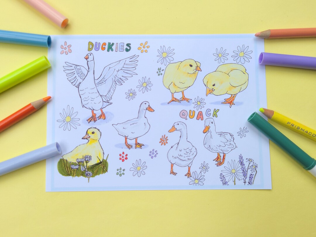 5x7 Ducks Colorful, Marker Art, Art Print - Etsy