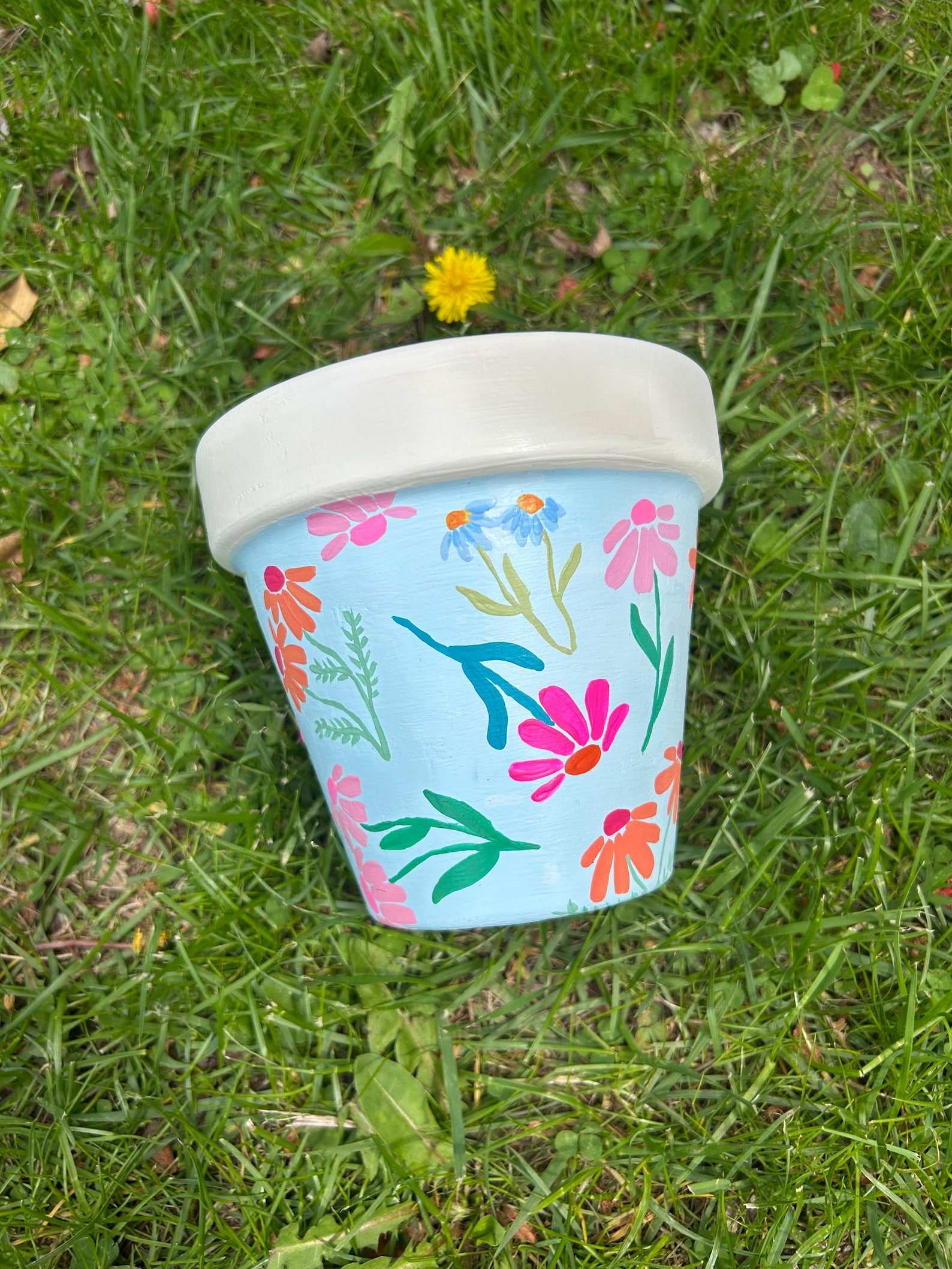 Handpainted Plant Pots Floral Themed Checkered Themed Beach Themed ...