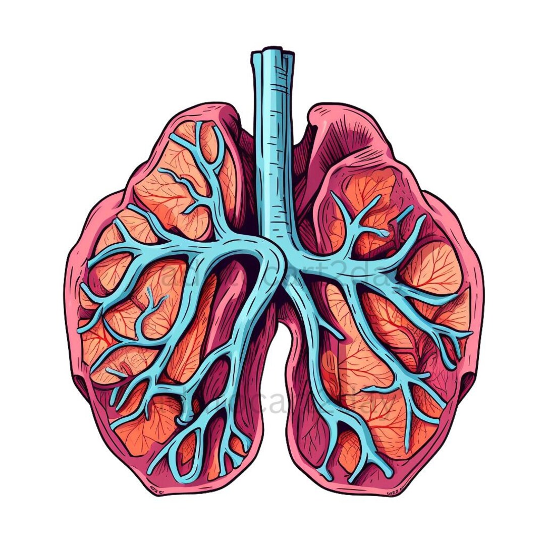 Lung Cancer Png, Lung Cancer Svg, Lungs Png, Lungs Svg, Dialysis PCT ...