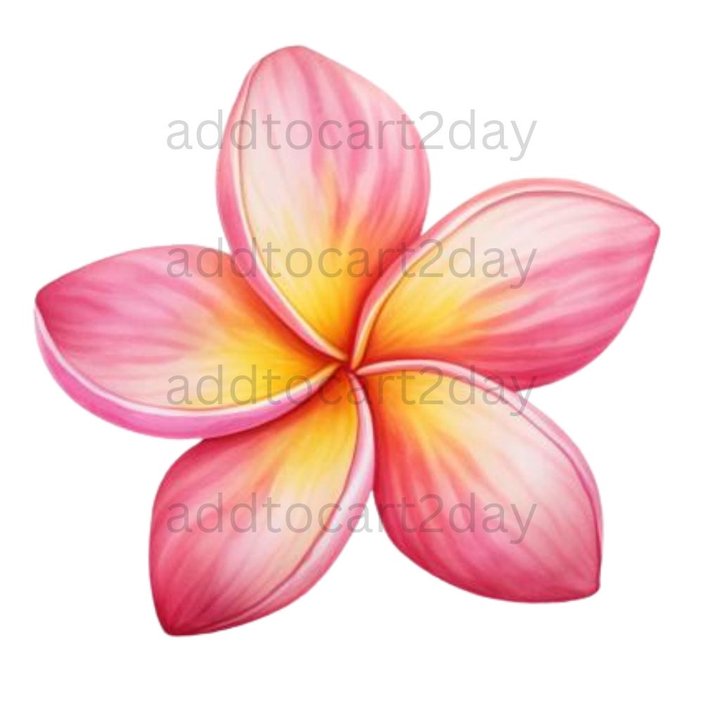 Colorful Plumeria Png, Watercolor Plumeria Png, Plumeria Svg ...
