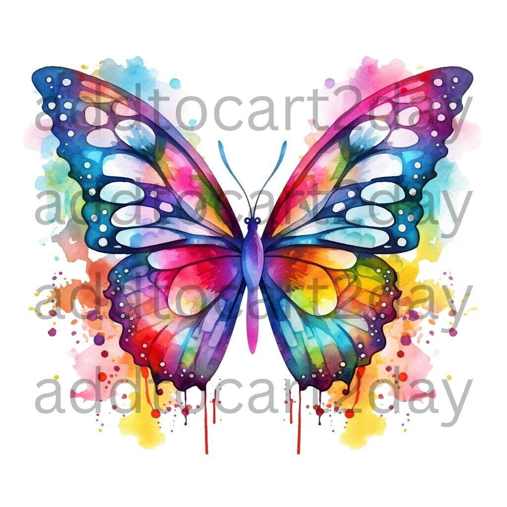 Colorful Butterfly Png, Watercolor Butterfly Png, Butterfly Svg ...
