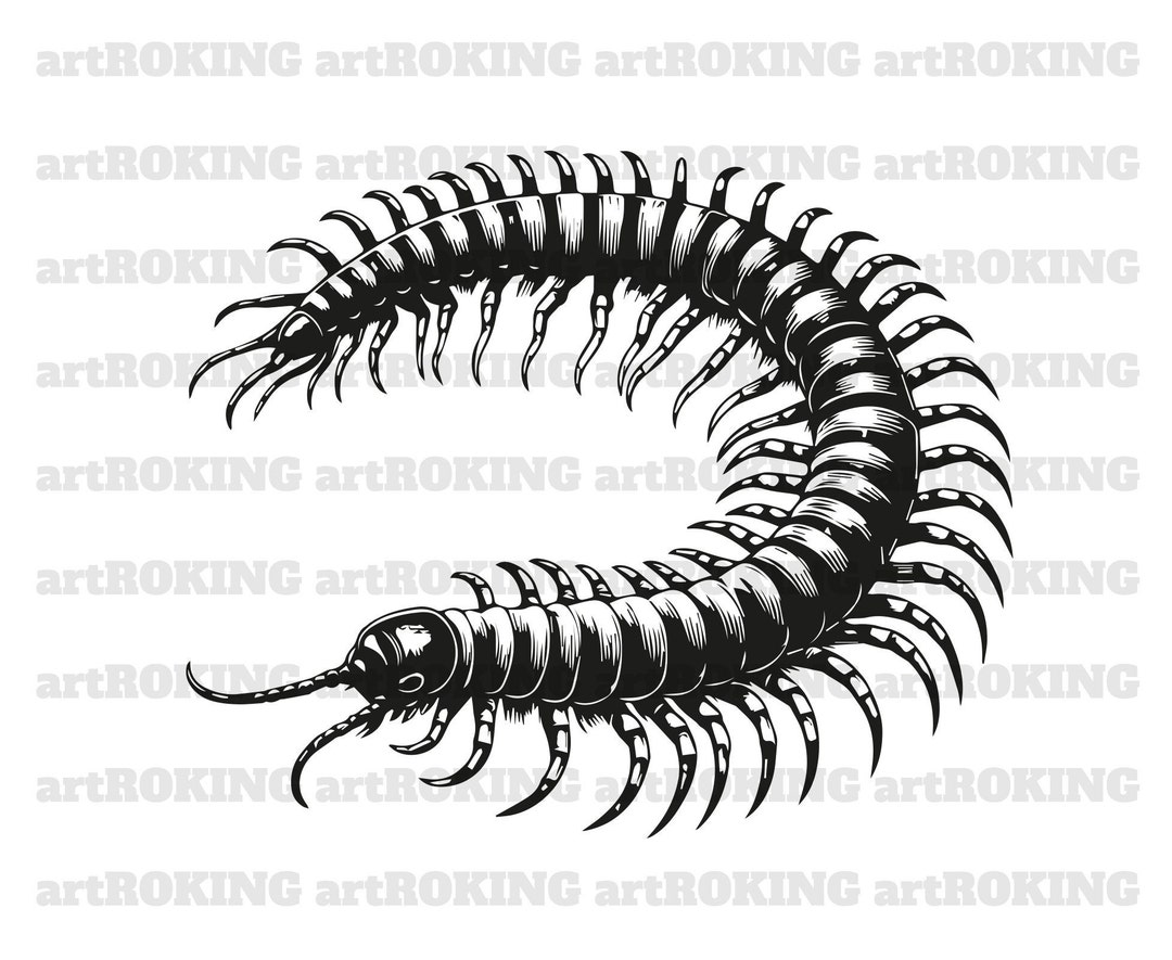 Centipede Svg, Centipede T-shirt, Centipede Vector, Centipede Tattoo ...