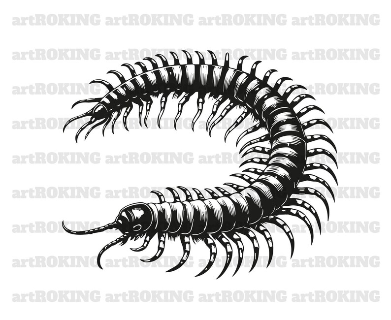 Centipede Svg, Centipede T-shirt, Centipede Vector, Centipede Tattoo ...
