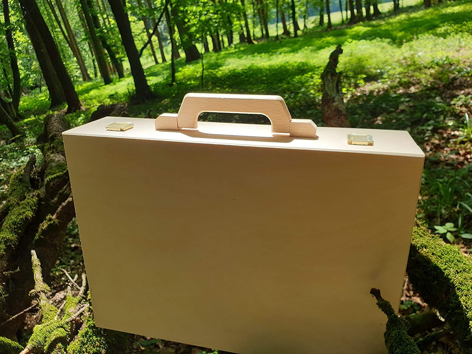 Natural Wooden Case Briefcase Storage Case Craft Case & Painting Case ...
