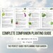 Companion Planting Guide Garden Planning Chart Companion Plants ...